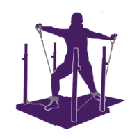 Introducing the Evolution Home Gym 2.0